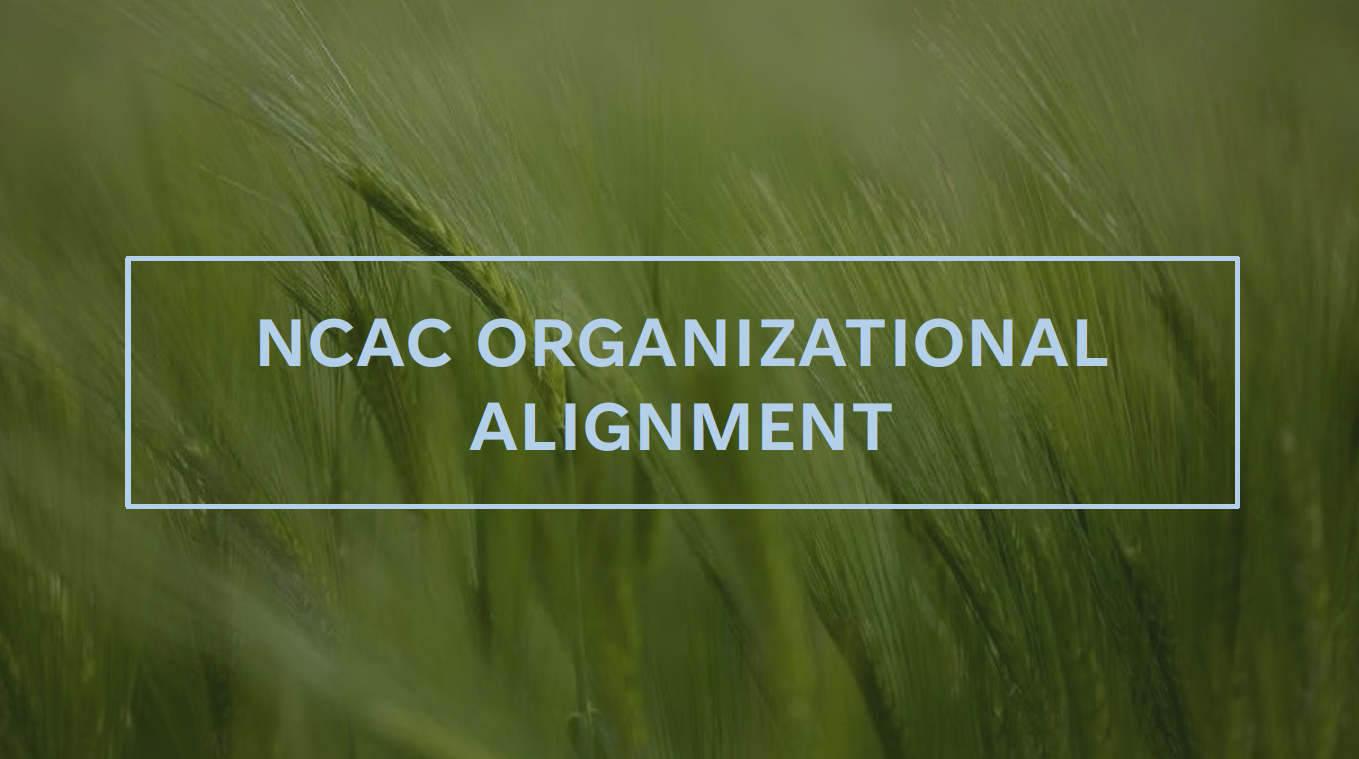 Organizational Alignment 2024 - National Capital Area Council
