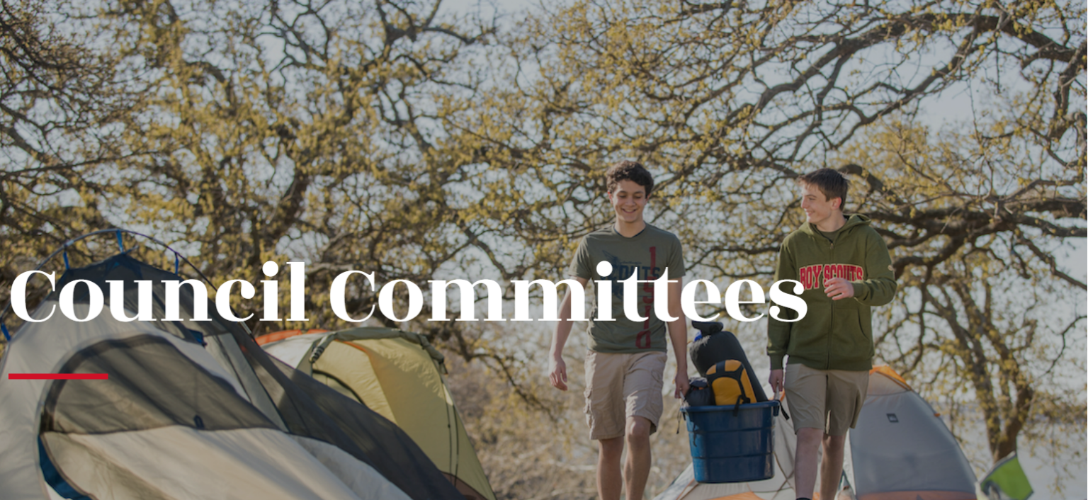 Council Committees - National Capital Area Council